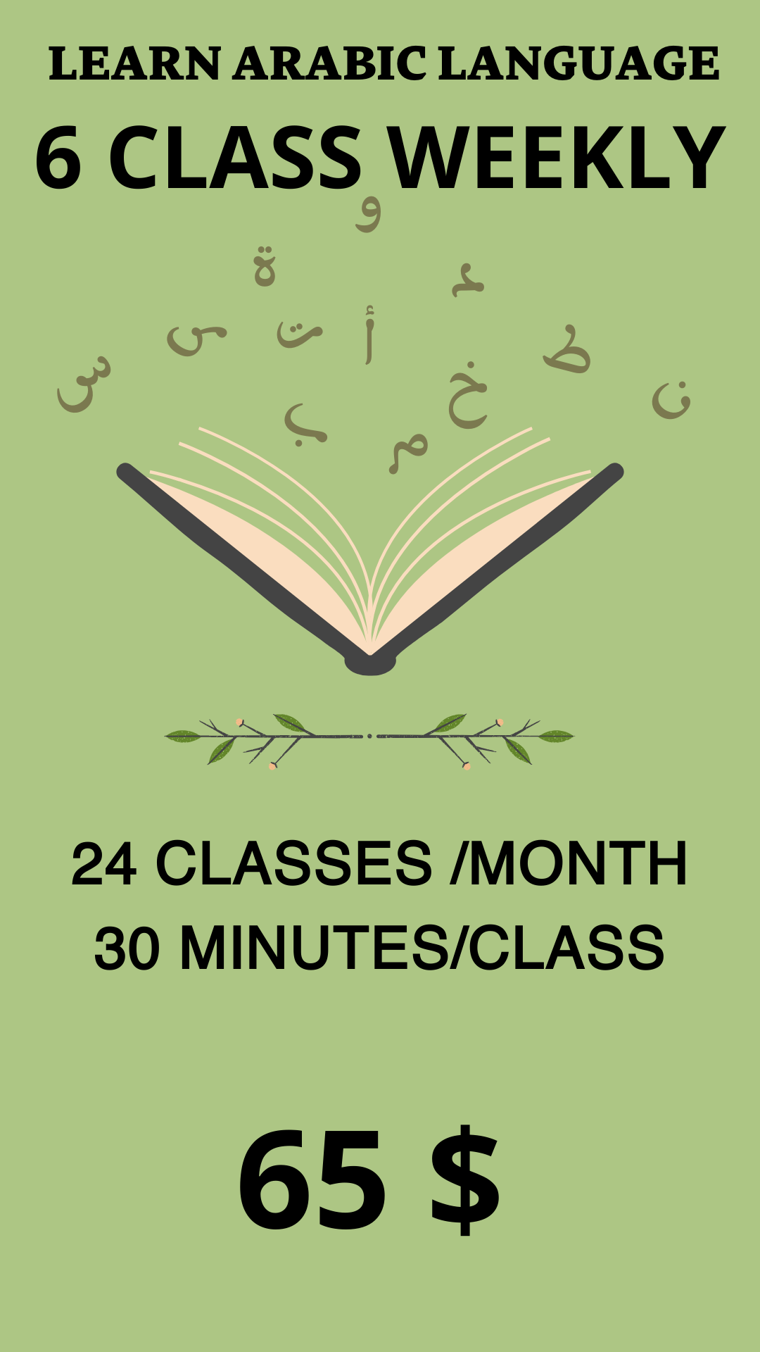 6 classes weekly / 30 min – al-manaraarabicinstitute.com